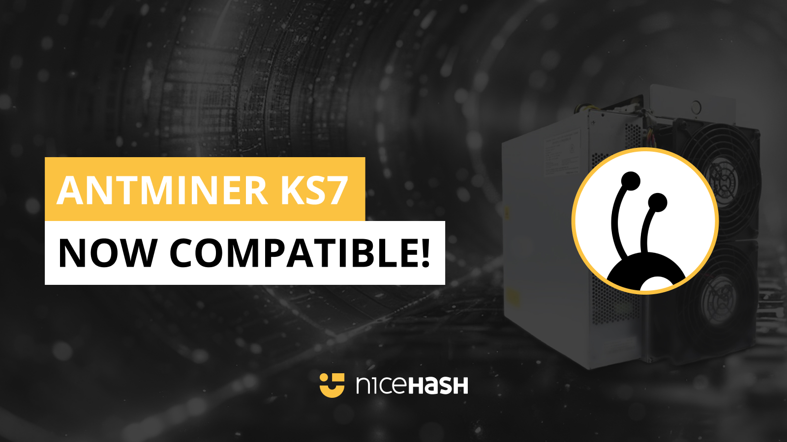 Bitmain Antminer KS7 Kaspa ASIC is compatible with NiceHash! | NiceHash
