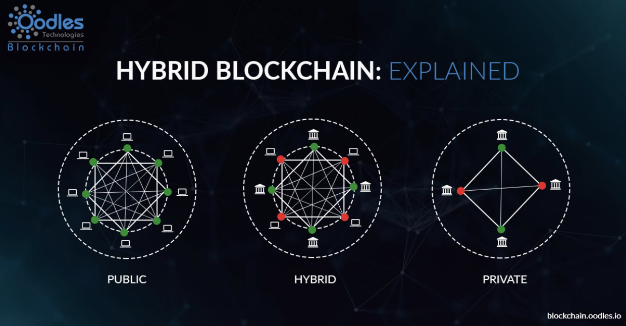 Explicación de los 4 tipos diferentes de tecnología Blockchain [2024 ...