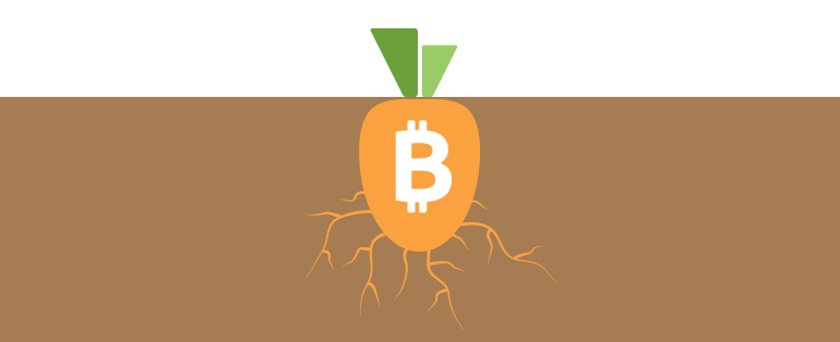 What is the Taproot Bitcoin update? | NiceHash