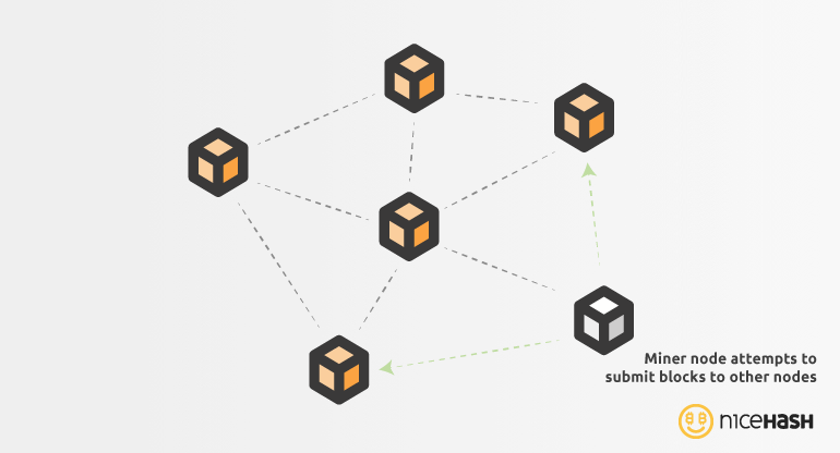 Blockchain basics - node | NiceHash